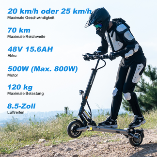 HITWAY H6 48V 15.6Ah | 800W Motor | Foldable Electric Scooter | HITWAY ...